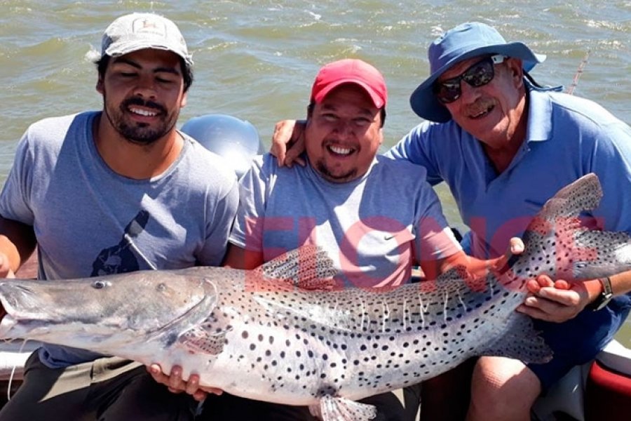 Pescaron un enorme surubí de 45 kilos, posaron para la foto y lo ...