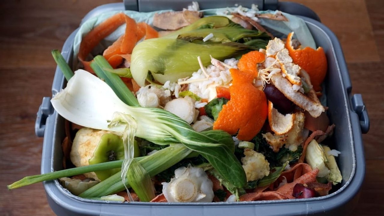Top 5: cuáles son las mejores formas de reciclar la comida | Corrientes Hoy