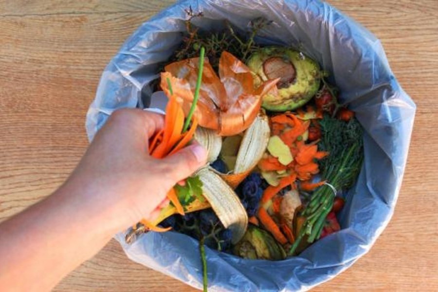 Por qué es importante reciclar alimentos y cuáles son las mejores ...